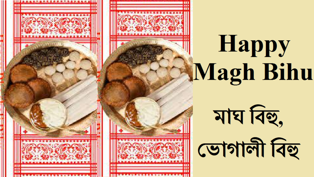 Magh Bihu 2024: মাঘ বিহু, যা ভোগালী বিহু,
